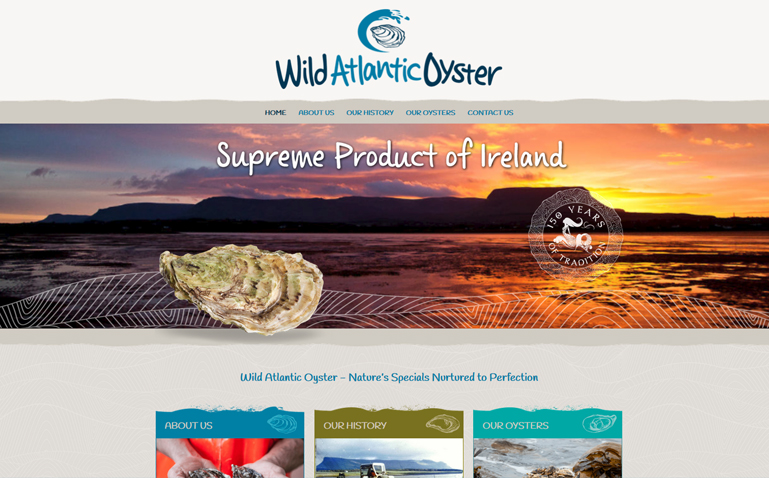 Darragh Kerrigan Creative | Graphic & Web Design Sligo